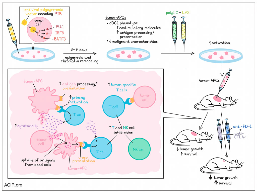 Turning the tide: reprogrammed tumor cells become APCs