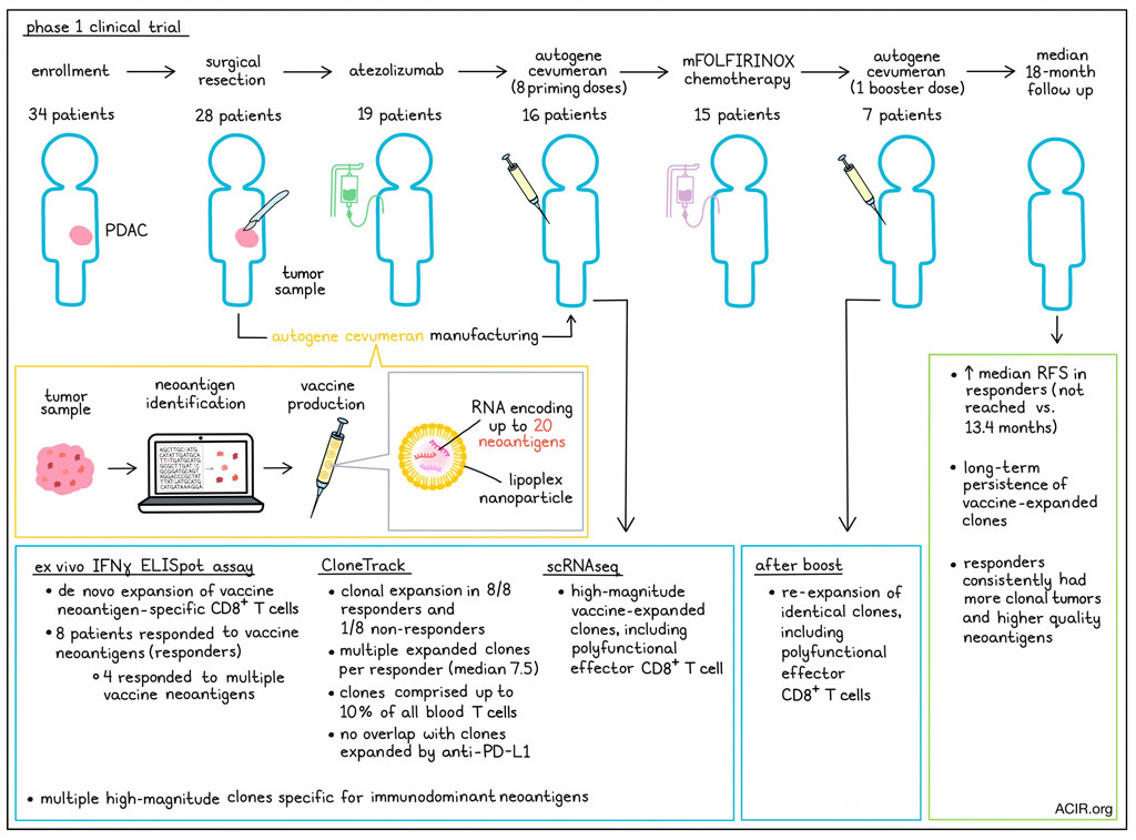 Personalized PDAC vaccines have entered the clinic