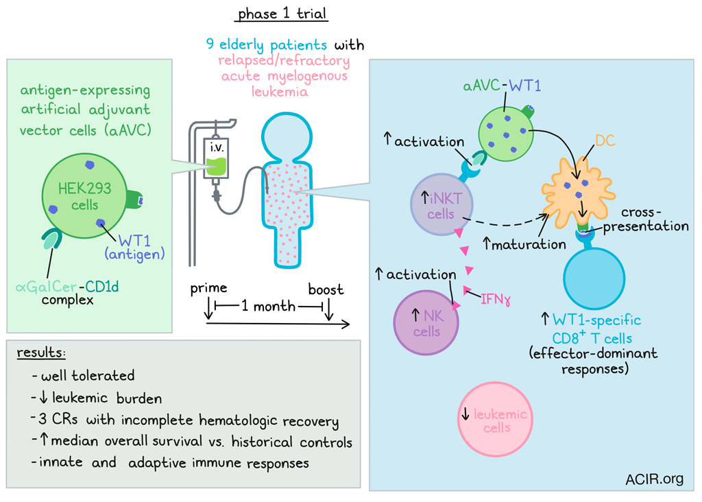 It takes two to tango: induction of innate and adaptive immunity with ...