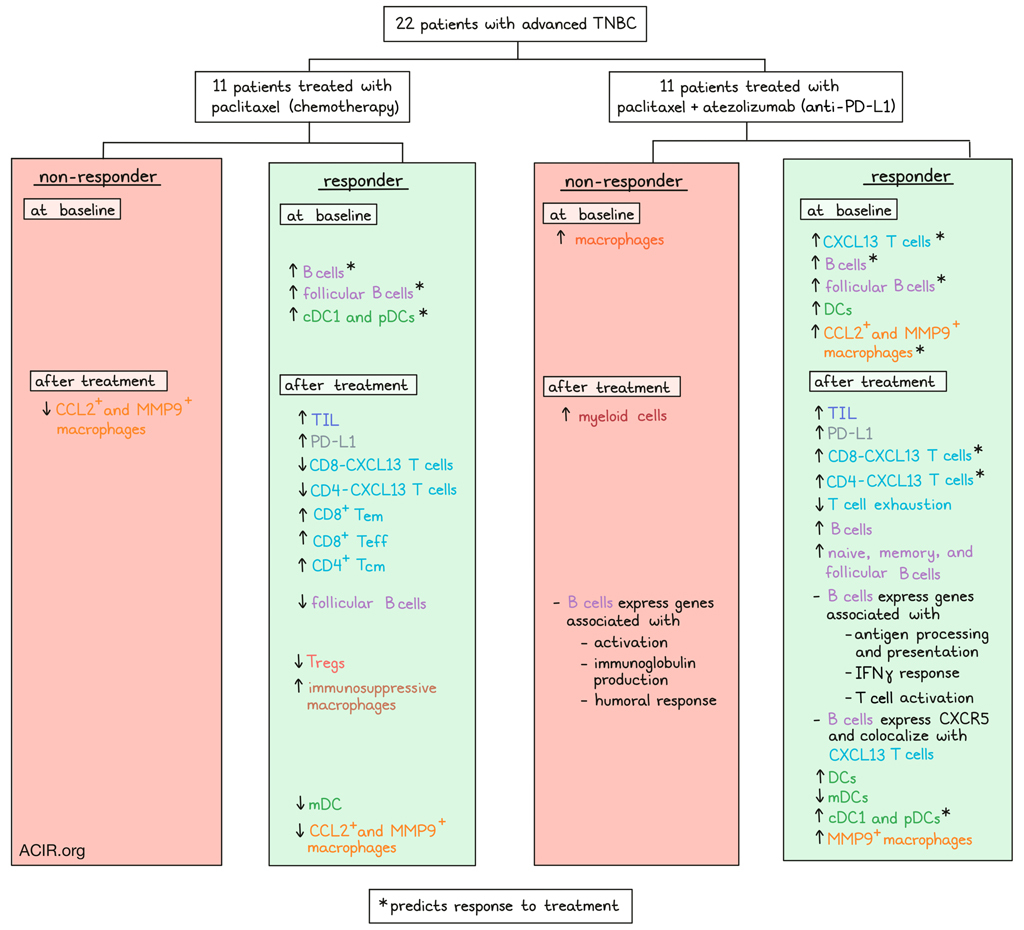 Chemotherapy and checkpoint inhibition differentially impact immune ...